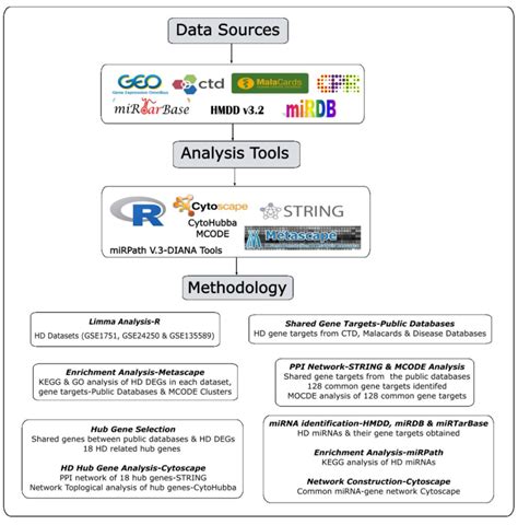 Workflow Methodology Applied In The Study Download Scientific Diagram