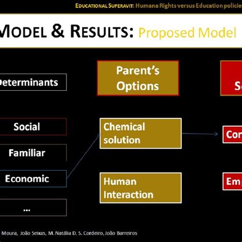 example of the reality scenario within the quantum model matrix as