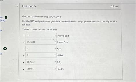 Solved Glucose Catabolism ~ Step 1 Glycolysis List The Net