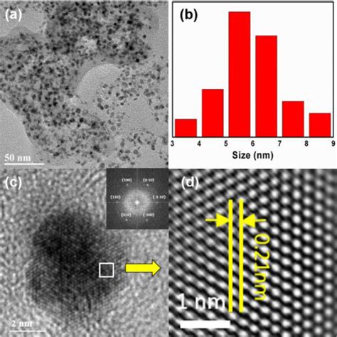 a b tem image and particle‐size histogram of pdcufe c‐400 c