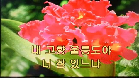 동백꽃피는고향 남상규 Youtube