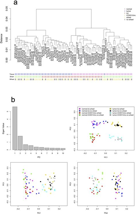 A Array Level Unsupervised Descriptive Summaries Of Gene Expression Download Scientific