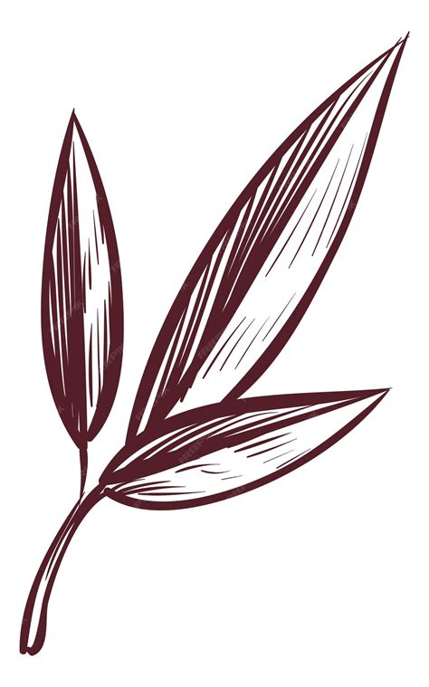 Premium Vector Tree Branch Engraving Three Leaves In Hand Drawn Style