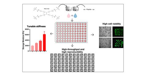 3d Bioprintable Hydrogel With Tunable Stiffness For Exploring Cells Encapsulated In Matrices Of