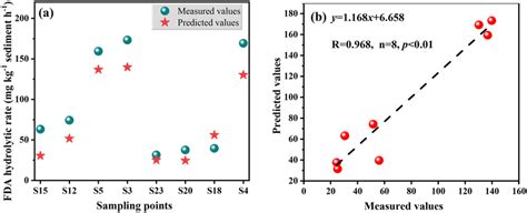 Measured And Predicted Values Of Regression Models A Comparison B
