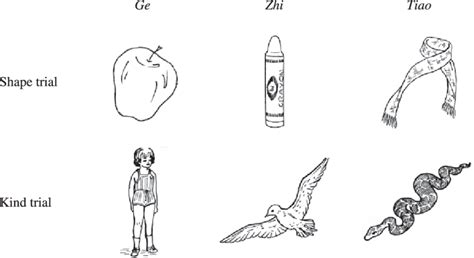 Sample Drawings Depicting A Shape And A Kind Trial Of The Classifier