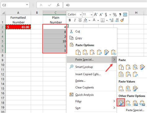 How To Copy Formatting In Excel Copy Cell Formatting Earn And Excel