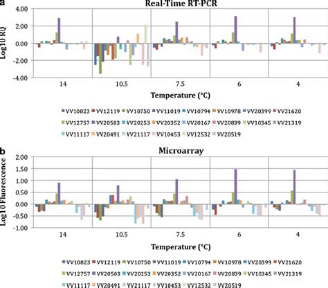 A Real Time Rt Pcr Expression Patterns B Microarray Expression