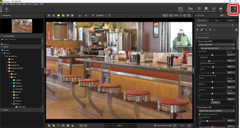 Adjust Export The Images With NX Studio