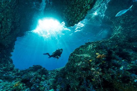 10 Frequently Asked Questions By Scuba Divers Scuba Diving