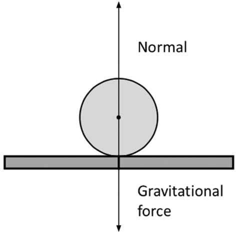 Newton S Laws Questions And Revision MME