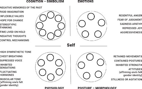Figure 2 From Neo Functionalism Applied To The Lived Experience Of A Transgender Person During