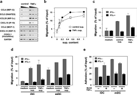 Figure 1 From Lymph Node Fibroblastic Reticular Cells Construct The Stromal Reticulum Via
