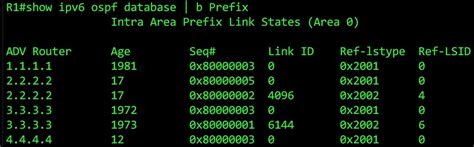 Ospfv3 How To Read Ipv6 S Ospf Database Network Fun Times
