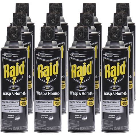 Raid Wasp And Hornet Killer 33 Spray Kills Wasp Hornet Mud Dauber
