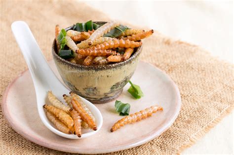 음식 곤충 대나무 벌레 곤충 튀김 바 삭 요리 음식 품목 및 자루에 숟가락으로 먹고 그것은 미래의 음식에 대 한 식용 단백질의 좋은 소스 Entomophagy 개념입니다