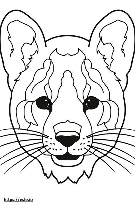 Genet Face Coloring Page