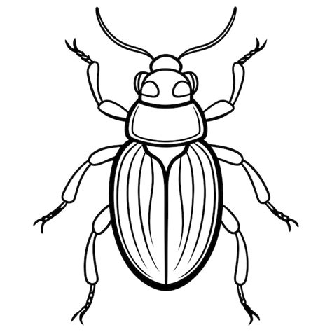Cricket Bug Outline Pictures Freepik