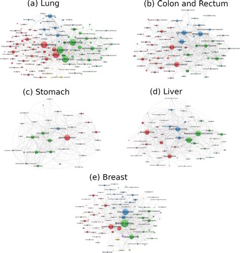Visualization Network Map Of Keywords Co Occurrence For All The