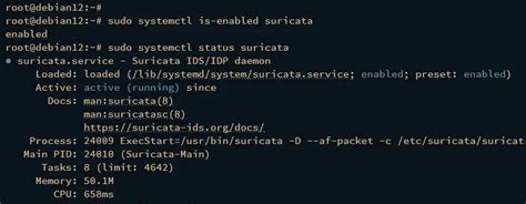 how to install suricata ids ips on debian 12 vitux