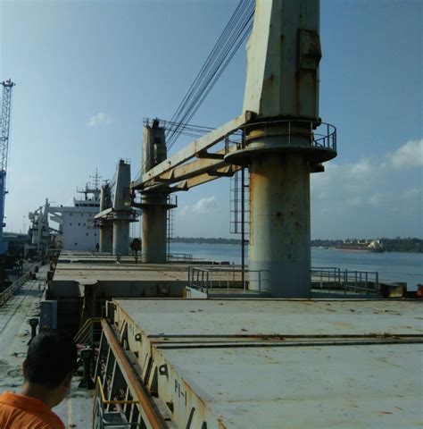 Bulk Cargo Discharge Tally And Condition Surveys Observater Surveys