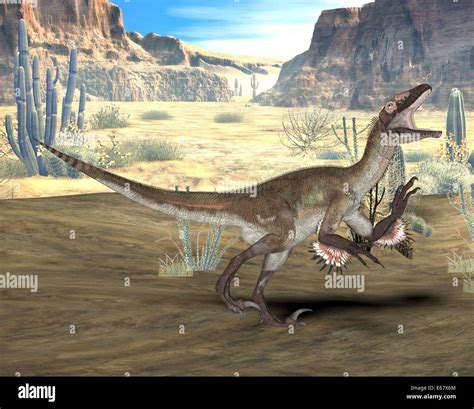 Dinosaurier Utahraptor Utahraptor Dinosaurier Stockfotografie Alamy