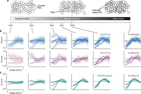 Mosaic Coordination Estimates Are Robust To Rf Subsampling A Rf Download Scientific Diagram