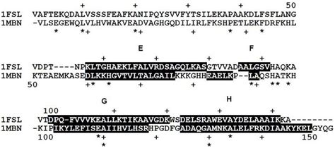 Amino Acid Sequence Alignment Of Soybean Leghemoglobin Pdb 1fsl And Download Scientific