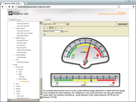 Nevron Gauge For Ssrs