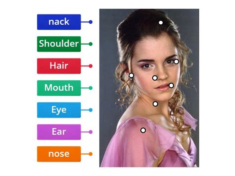 Hermione Face Labelled Diagram