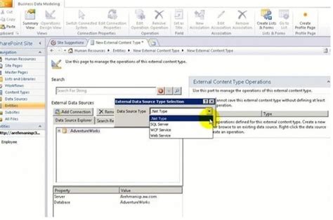 Sharepoint 2010 Database Types