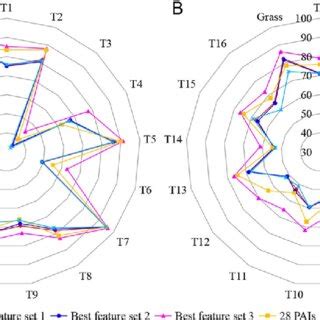 Spider Web Graphs Of The Representative Feature Set Classification Download Scientific Diagram