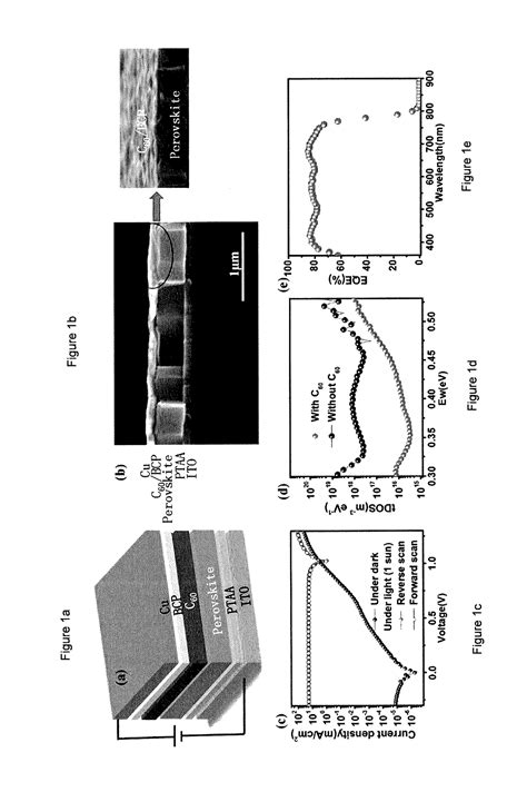 Self Powered Ghz Solution Processed Hybrid Perovskite Photodetectors