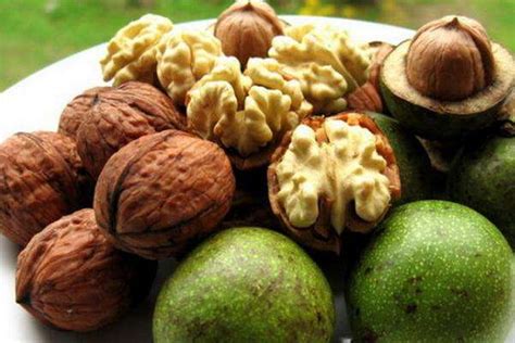 The Nutrition Facts and Health Benefits of Walnuts