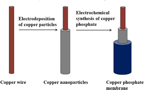 Figure 1 from Potentiometric Phosphate Ion Sensor Based on ...