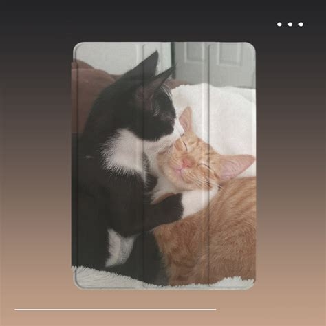 쏠띵즈 고양이 귀여운 아이패드 케이스 위시버킷