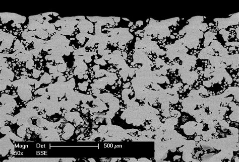 Example Of Cross Section Sem Micrograph Of The Corroded 316l Printed