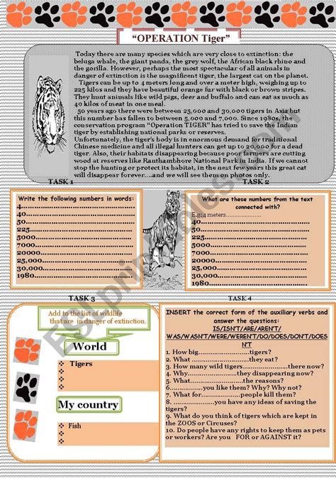 Reding Comprehension Operation Tiger Speaking Writing Grammar