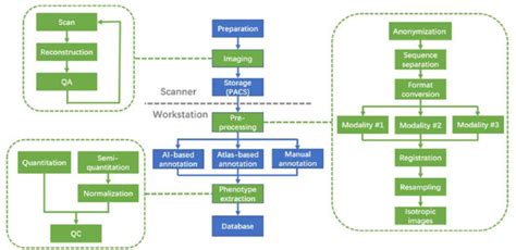 Flowchart For The Data Acquisition And Image Processing Pipeline Download Scientific Diagram