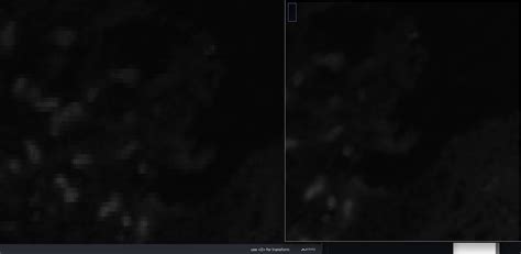 Python Napari Doesnt Display Full Resolution Stack Overflow