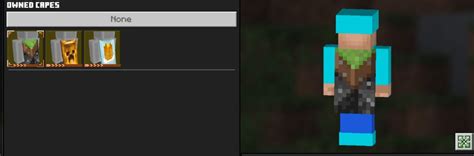 I M Bored Help Me Chose My New Skin Cape R Uncensoredminecraft