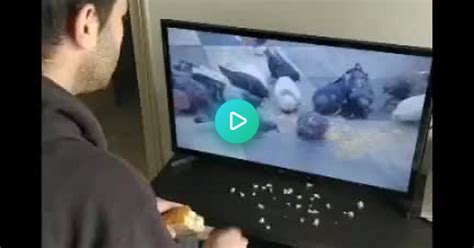 Day 6 Album On Imgur