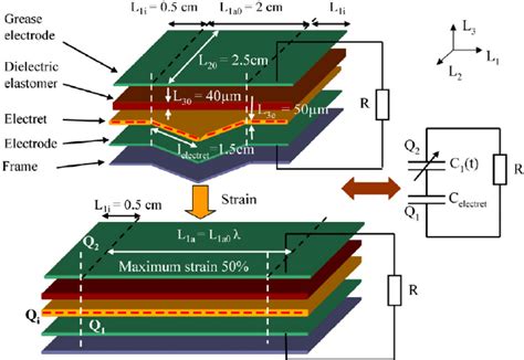 Design Of Electretdielectric Elastomer Generator Prototype At Rest Download Scientific