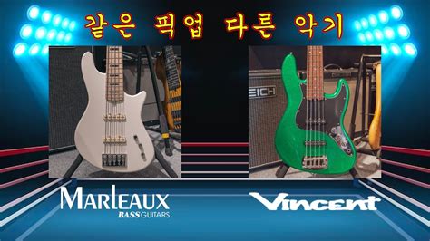 haeussel이라는 회사의 픽업을 장착한 두 거물 베이스의 사운드 비교 YouTube