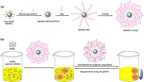Figure 1 From Network Polymer Modified Superparamagnetic Magnetic Silica Nanoparticles For The