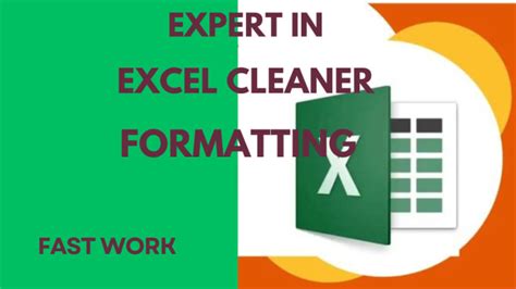 Do Excel Data Cleaning And Formatting With 10 By 10 Accuracy By Zaib