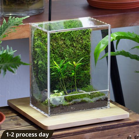 Ship From Us Handmade Rectangular Close Acrylic Terrarium With Glass
