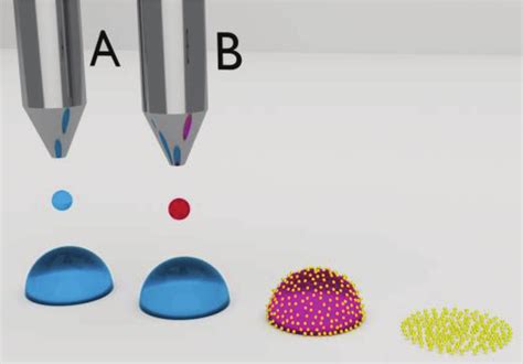 Schematic Of The Dual Droplet Printing Process Blue Represents The