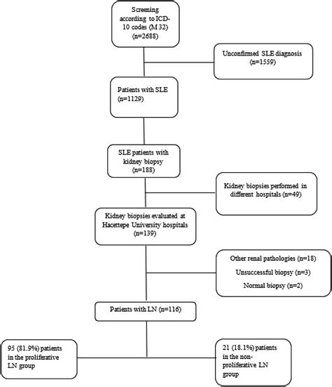 Differences And Similarities Of Proliferative And Non Proliferative