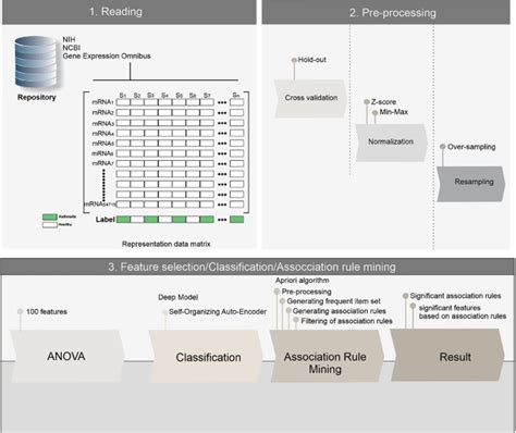 Intuitive Understanding Of Roc And Auc Unraveling The Connection